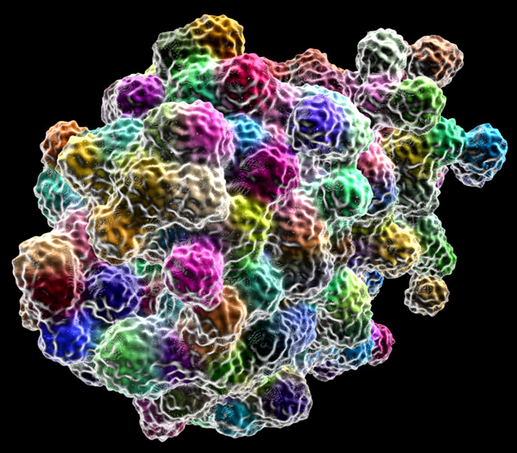 Mathematical models of biological systems – Istituto di Biofisica